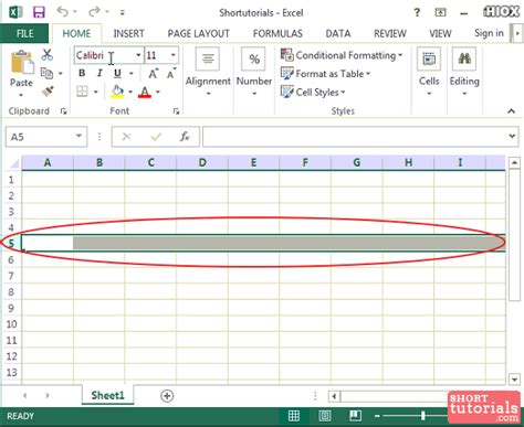 Row In Ms Excel 2013
