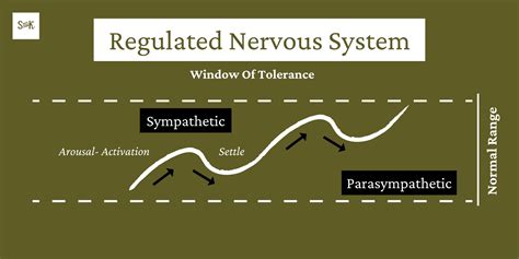 What Is A Dysregulated Nervous System Nervous System Dysregulation