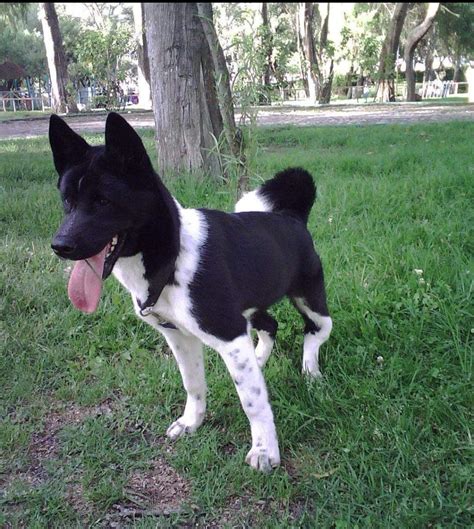 Keyla Funeraria Jaramillo