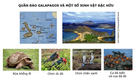 Bài 33 Bằng Chứng địa Lý Sinh Vật Học PhƯƠng PhÁp DẠy HỌc Sinh HỌc