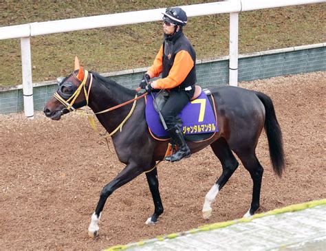 【朝日杯fs】g1全5勝は牝馬の高野友和調教師「勝たせてあげられれば」ジャンタルマンタルで牡馬タイトル取り Umatoku 馬トク