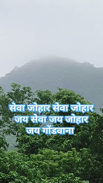 सेवा जोहार सेवा जोहार। जय सेवा जय जोहार जय गोंडवाना। बहुत ही सुन्दर