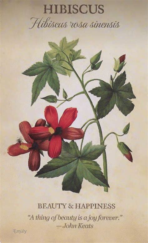 Victorian Flowers Vintage Flowers Flower Art Painting Flower Drawing