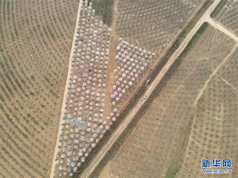 新华全媒｜天空之眼瞰雄安深圳新闻网