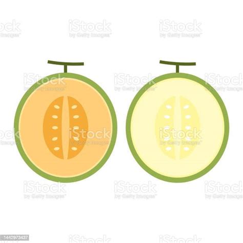 멜론 벡터 흰색 배경에 멜론 벽지 로고 디자인 칸탈루프 멜론에 대한 스톡 벡터 아트 및 기타 이미지 칸탈루프 멜론 멜론