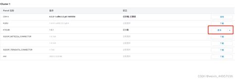 Cdh632（cdh5适用）集成自制kyuubi Parcel（自定义parcel部署到cm）cloudera Servicesdl