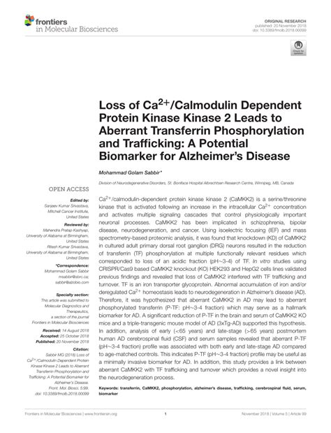 Pdf Loss Of Ca2calmodulin Dependent Protein Kinase Kinase 2 Leads