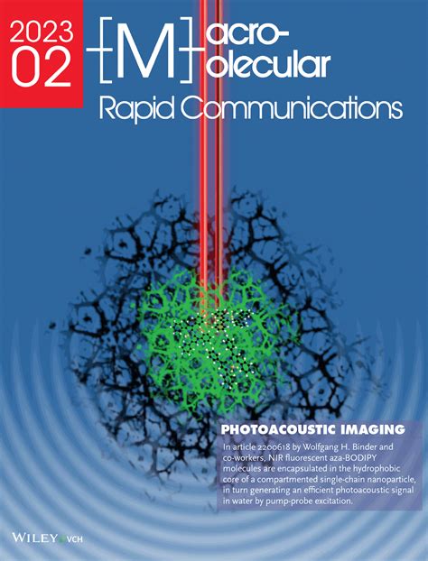 Tuning The Internal Compartmentation Of Single‐chain Nanoparticles As Fluorescent Contrast