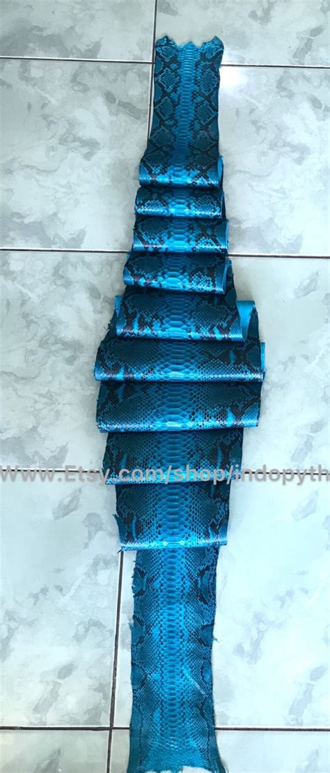 Blue Turquoise Python Leather Indopython