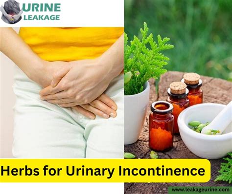 10 Symptoms Of Overactive Bladder You Should Never Ignore Huffington News
