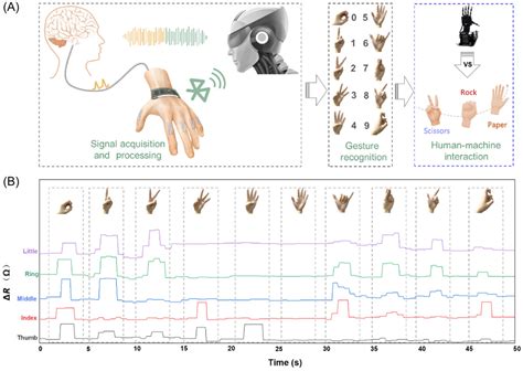high‐accuracy dynamic gesture recognition a universal and self