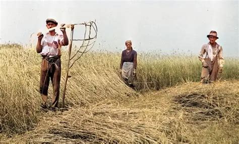 Latifundia And Unequal Land Ownership In Latin America Segundopaso