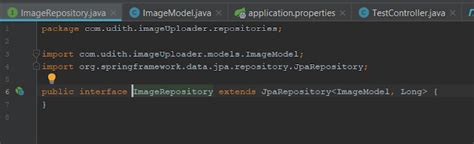 Upload Images And Save Them In A Database Angular 8 Spring Boot Mysql The Developer