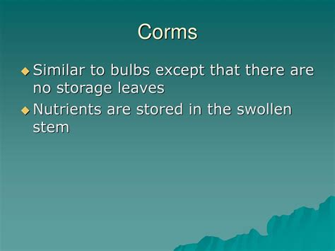 Plants Ppt Download