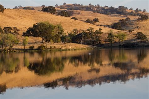 Lake Mcswain
