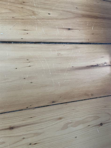 My Cat Keeps Scratching My Floor Any Way To Get Ride Of The Scratches