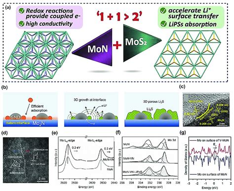 A Working Schematic Illustration Of Mos2 Mon Heterostructure