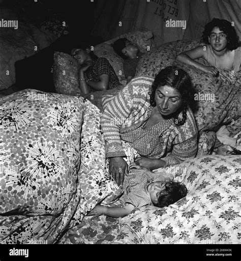 Lillehammer 1955 du camp tzigane à Vingnes Trois des quatre familles