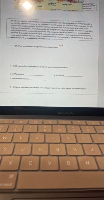 Solved 1 Explain How Phospholipids Arrange Themselves Into Chegg Com