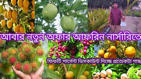 আবার নতুন অফার আফরিন নার্সারিতে ফিফটি পার্সেন্ট ডিসকাউন্ট দিচ্ছে