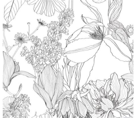 Wyle Femtech（wyle Femtech）のプロフィール Campfire キャンプファイヤー