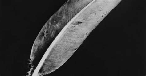 Cigarettes After Sex Lp Affection Vinyl