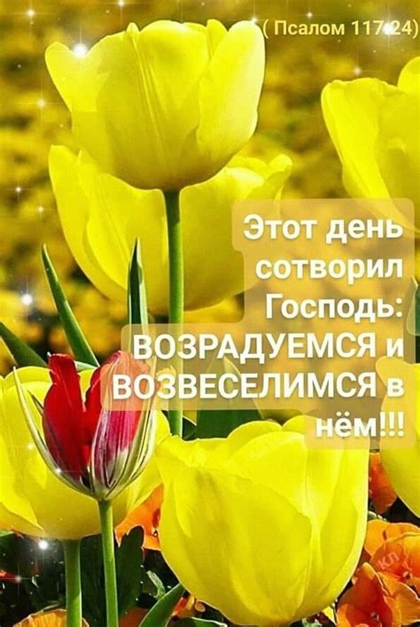 Социальная сеть Одноклассники Общение с друзьями в ОК Ваше место встречи с одноклассниками