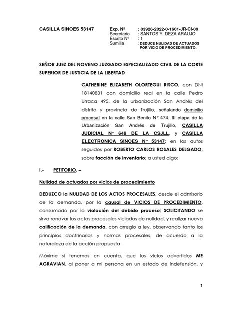 Nulidad De Actuados Por Vicio Dde Procedimiento Katy Inventario