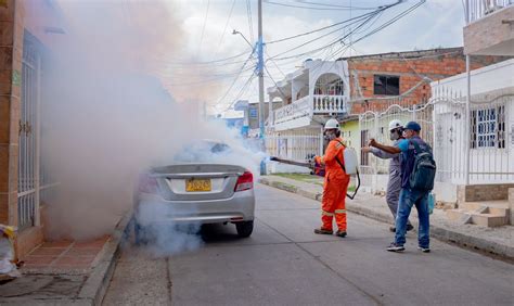 Cartagena Registra 57 Casos De Dengue En La última Semana 1 Caso