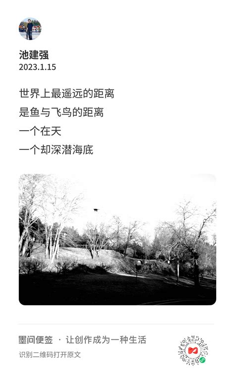 池建强 Sagacity Twitter