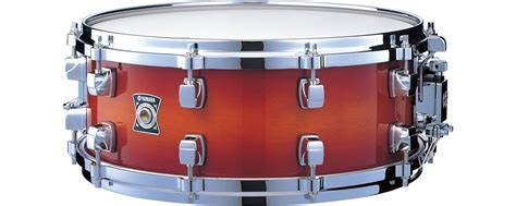 Sensitive Concept Features Snare Drums Acoustic Drums Drums