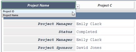 Project Charter Template In Excel [free Download]