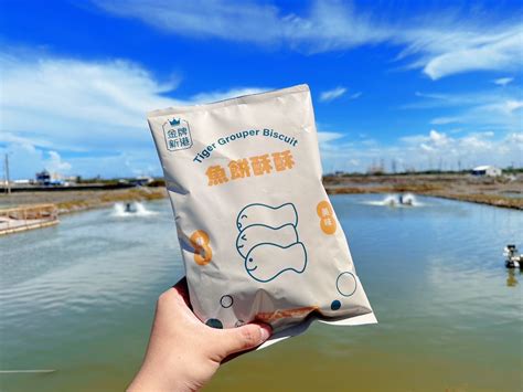 蘇班長安心石斑龍膽石斑魚龍虎石斑產地直送線上訂購