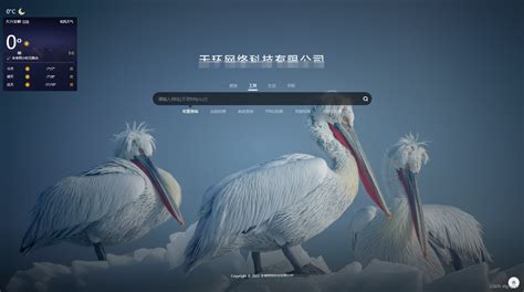 网络搜索导航页源码 带天气预报 网站查询 搜索页面源码 csdn博客