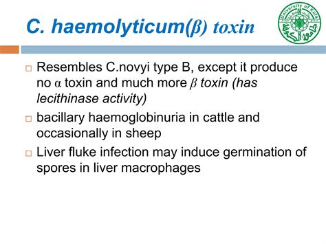 Veterinary Important Clostridium Species Pptx