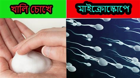 যা শুধুমাত্র Microscope এ দেখা যায়।।😳 5 Things You Can Only See Under