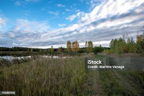 구름과 나무와 푸른 하늘의 반사와 밝은 태양 빛에 진정 호수 0명에 대한 스톡 사진 및 기타 이미지 0명 강 경관 Istock