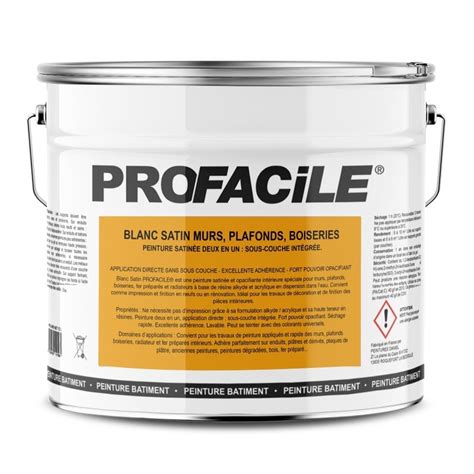 Peinture Blanc Satin Intérieur Murs Plafonds Plâtres Fer Bois