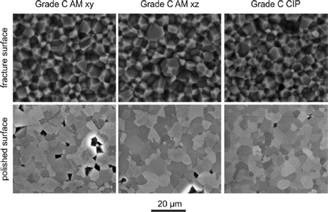 Sem Micrographs Of Fracture Surfaces Top And Polished Surfaces