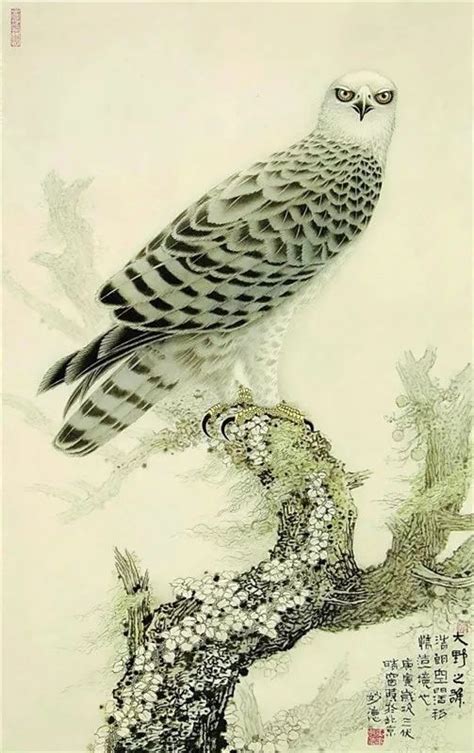 当代画鹰谁画的最好 名家画鹰 只画鹰的画家 第8页 大山谷图库