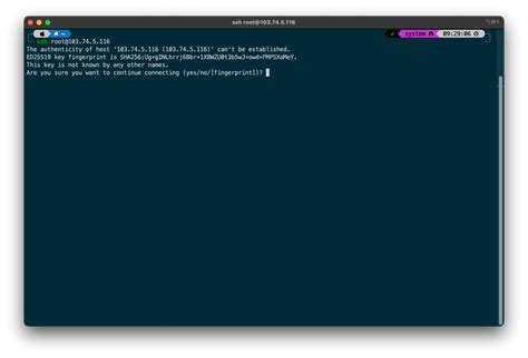 Tutorial Deploy Laravel Di Vps 2 Membeli Vps —