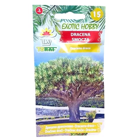 Dracena Smocza Nasiona Firmy Toraf