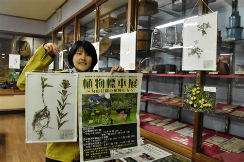 中標津丸山公園の植物紹介 郷土館で標本展北海道新聞デジタル