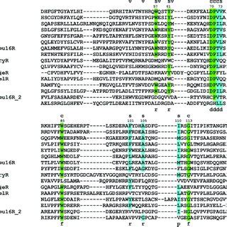 Structure Based Multiple Sequence Alignment Of The Inducer Binding