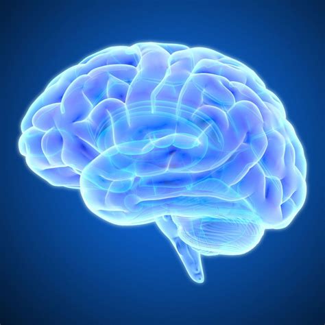 Mesial Temporal Sclerosis Nspc Brain And Spine Surgery