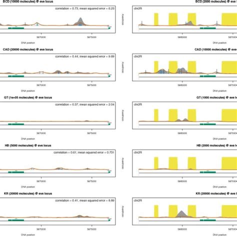 Quantifying The Distances Between Bicoid And Caudal Chip Seq Profiles