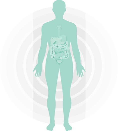 Essential Digestive Enzyme Complex Nature S Wisdom