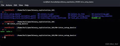 pwn入门（1）基础知识和环境设置 csdn博客