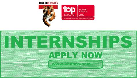 Tiger Brands CA SA Trainee Programme 2024 Khabza Career Portal
