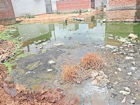 Pipeline Was Not Even Laid Due To Lack Of Drains Dirty Water Is